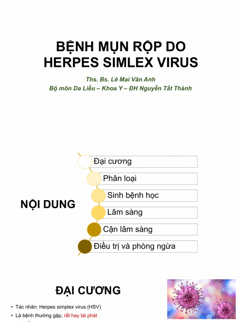 Herpes Simplex - LT | PDF