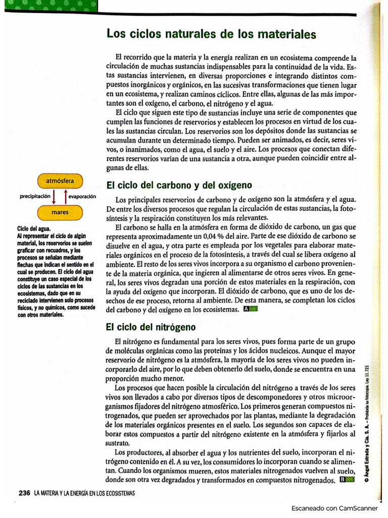 Ciclos Naturales de La Materia | PDF