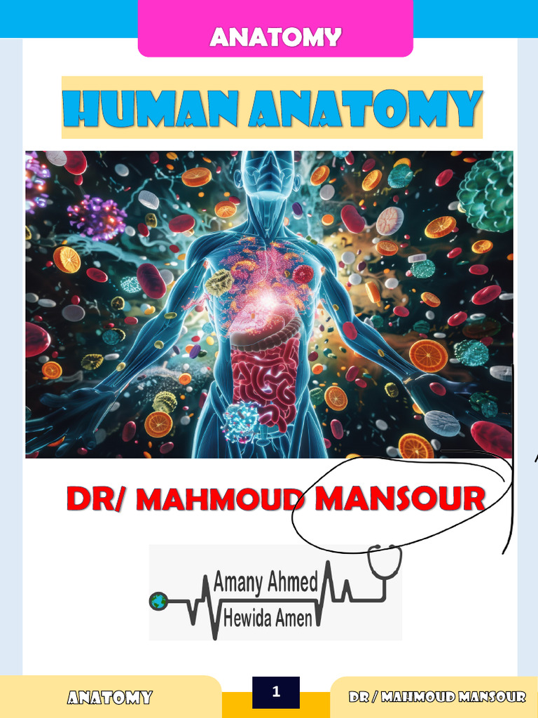 Anatomy Bones ..... | PDF | Skeleton | Bone