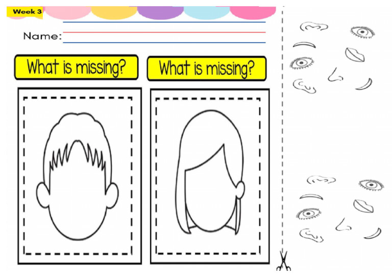 Week 3 - Face Whats Missing | PDF