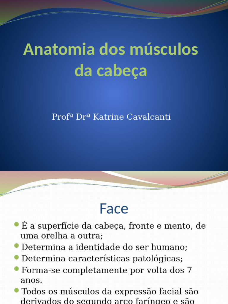 Anatomia dos Músculos Faciais e Mastigatórios | PDF | Anatomia ...