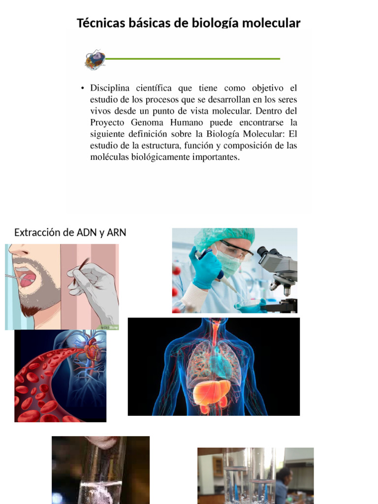 Tecnicas de Biologia Molecular | PDF