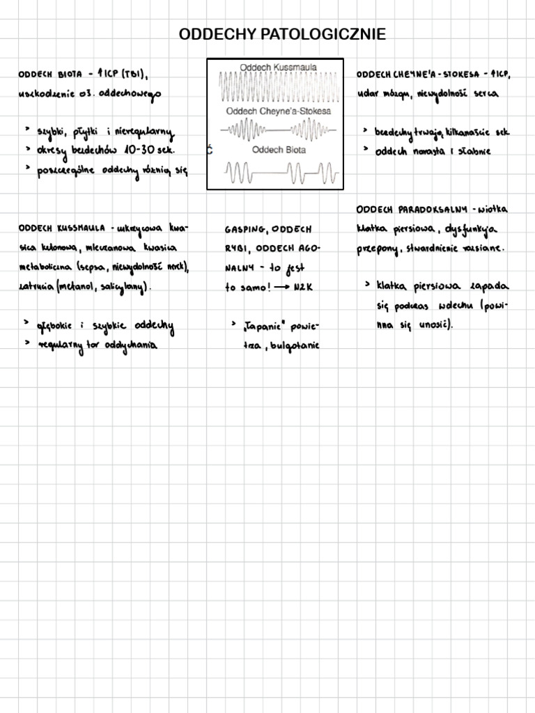 Egzaminy | PDF