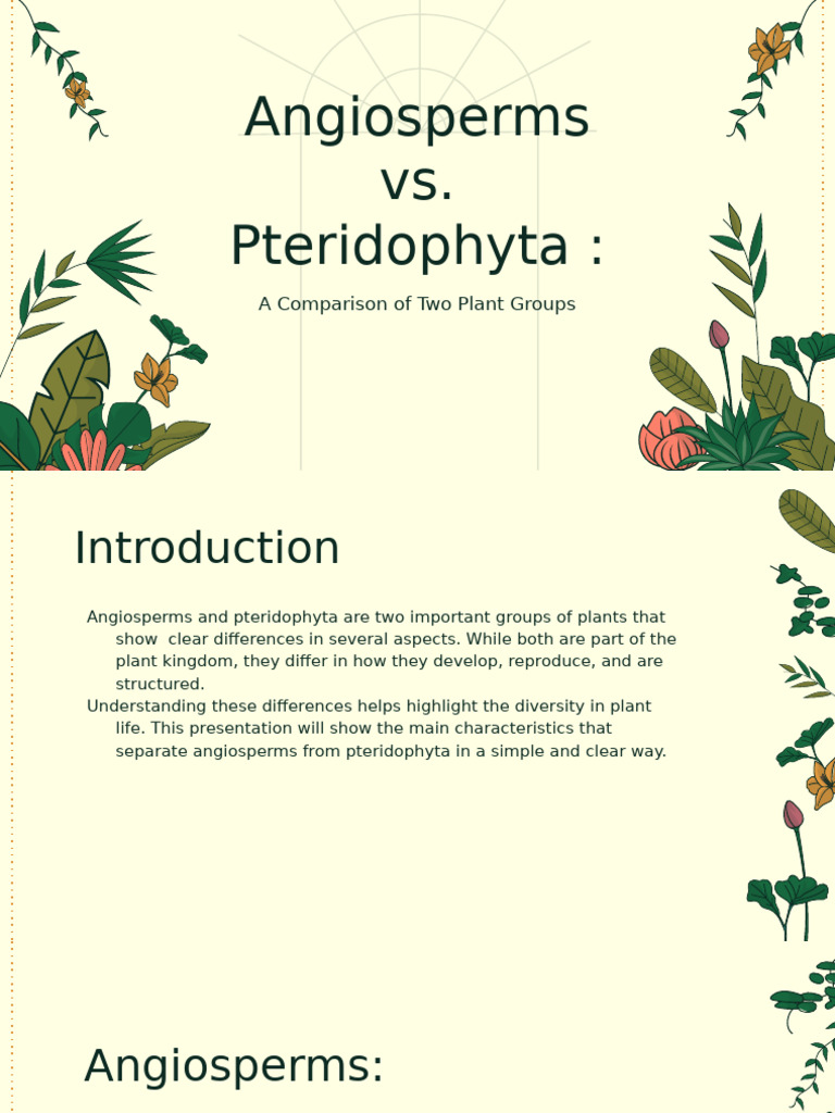 Kingdom Plantae | PDF