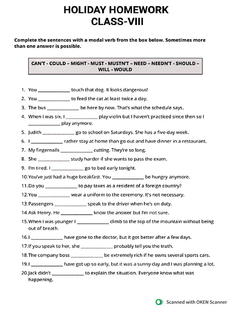 Class 8 Holiday Worksheet | PDF