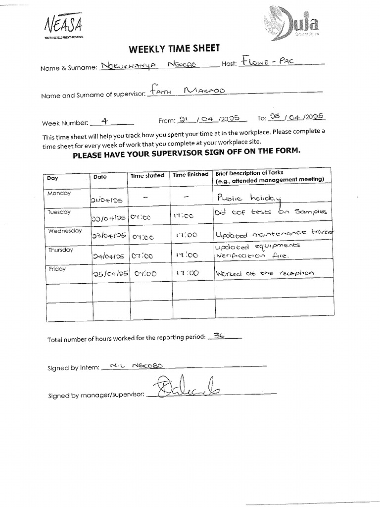 April Week 4 Timesheet and Journal | PDF