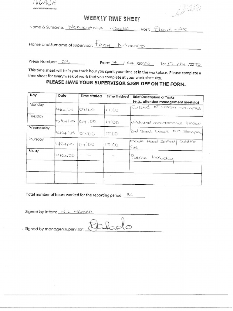 April Week 3 Timesheet | PDF
