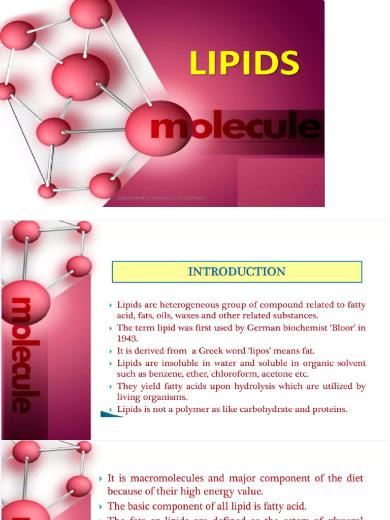 Lipids Ppt 2 Pdf