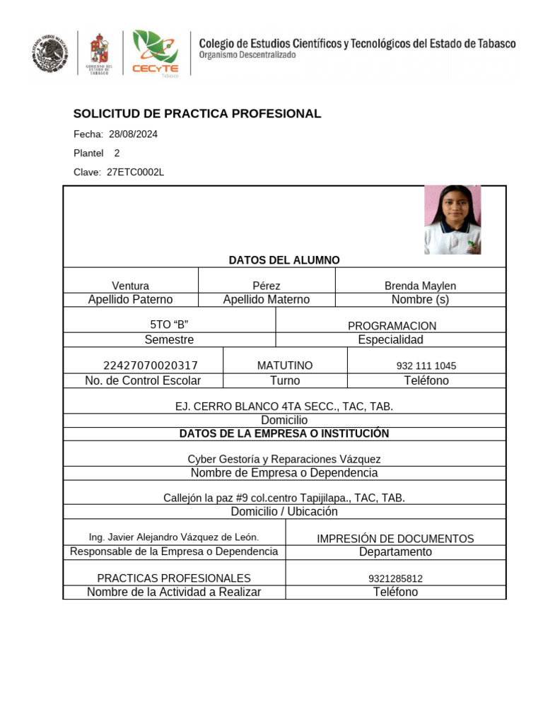 Solicitud de Práctica Profesional 2024 | PDF