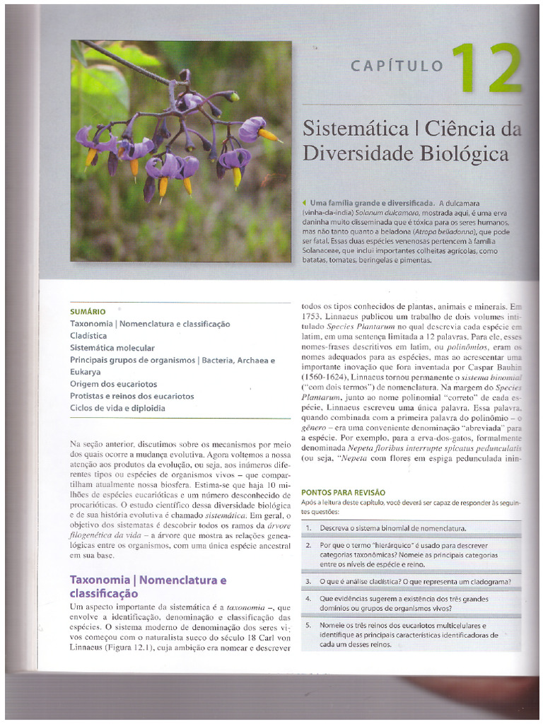 Raven Cap Sistematica | PDF