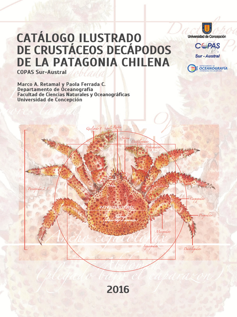 Crustáceos Decápodos de La Patagonia Chilena | PDF