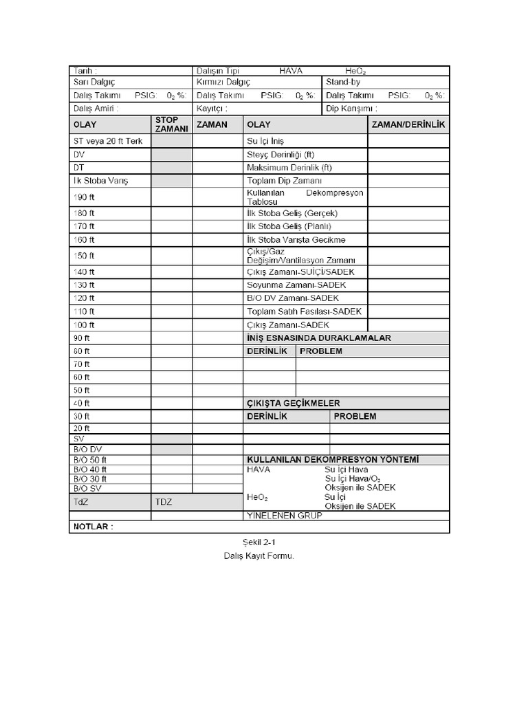 Dalis Kayit Formu | PDF