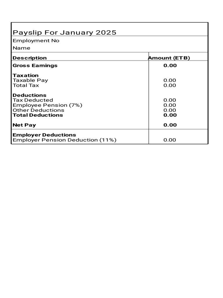 January 2025 Payslip | PDF