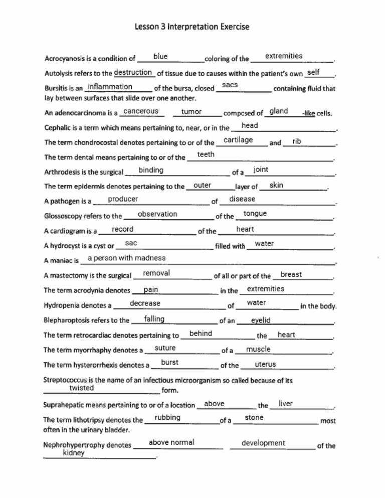 Lesson 3 Medical Terminology Exercise | PDF | Skin | Clinical Medicine