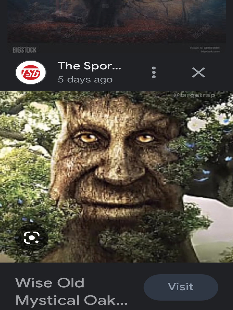 Old Mystical Tree - Google Search | PDF