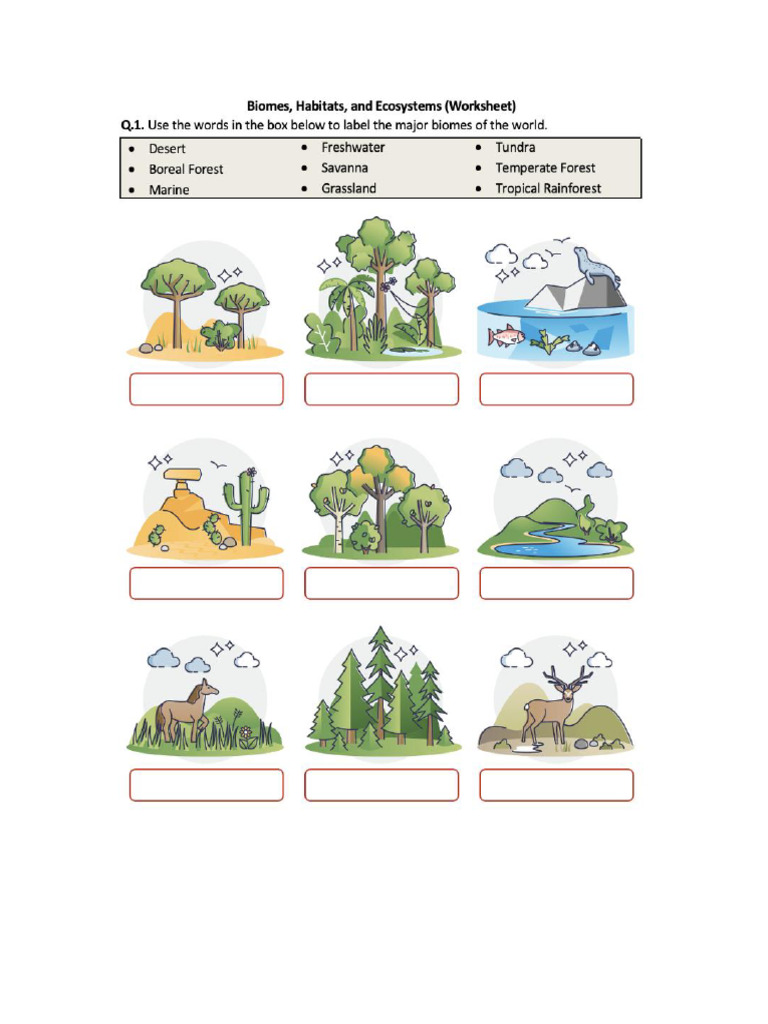 Science Worksheet | PDF