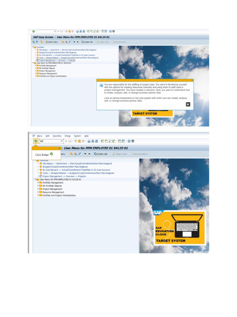 26 - How Maintain A Business Partner in Core S4HANA | PDF