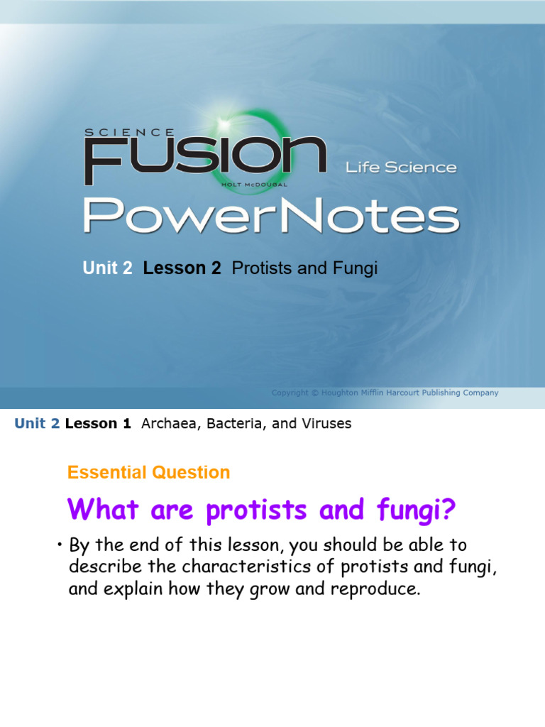 Lesson 2 Protists and Fungi | PDF | Sexual Reproduction | Reproduction