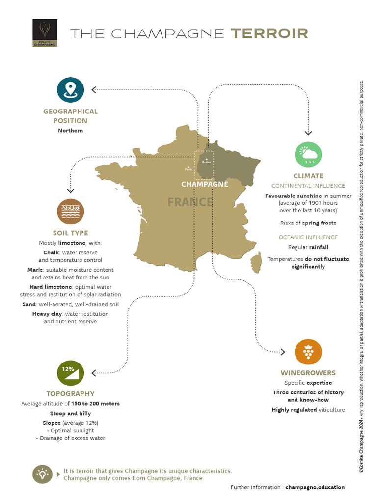 Understanding Champagne Terroir Factors | PDF | Soil | Viticulture
