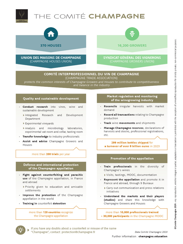 Factsheet Presentation Comite Champagne EN | PDF | Wine | Grape