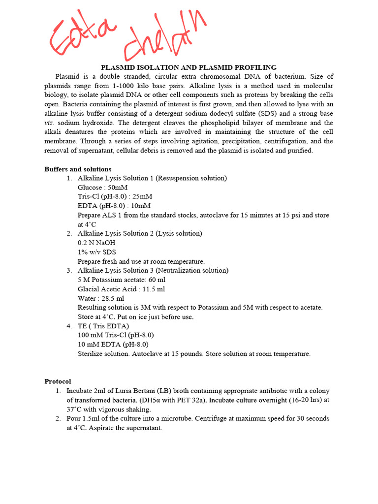 509 Plasmid Extraction | PDF | Lysis | Cell Biology