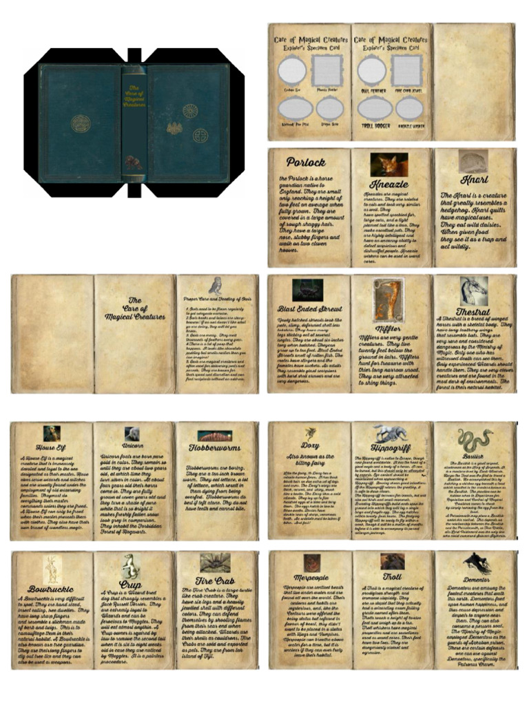 The Care of Magical Creatures | PDF