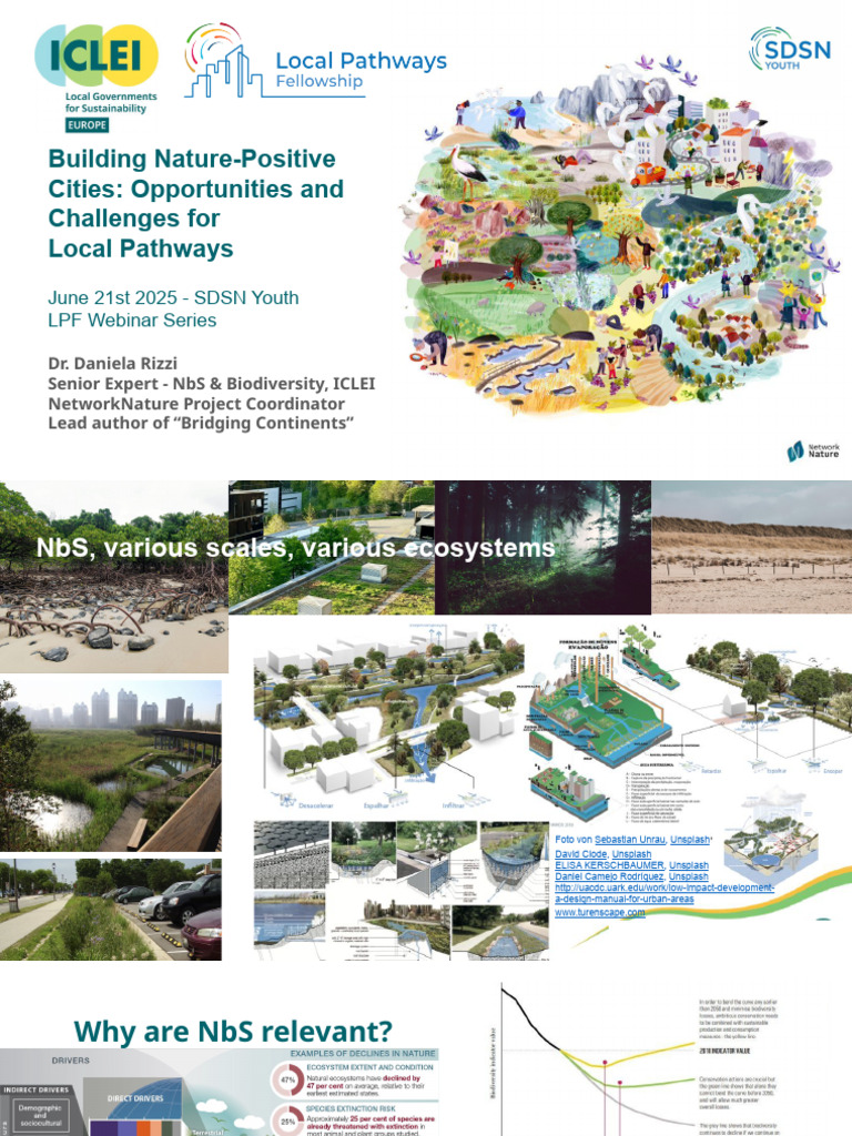 LPF Webinar Series - Daniela Rizzi - SDSN Youth | PDF | Natural ...