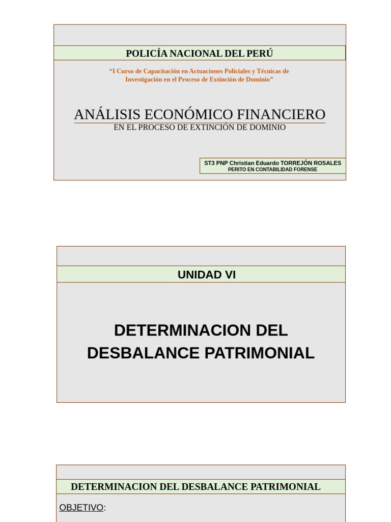 Determinación de Desbalance Patrimonial | PDF | Testigo experto ...