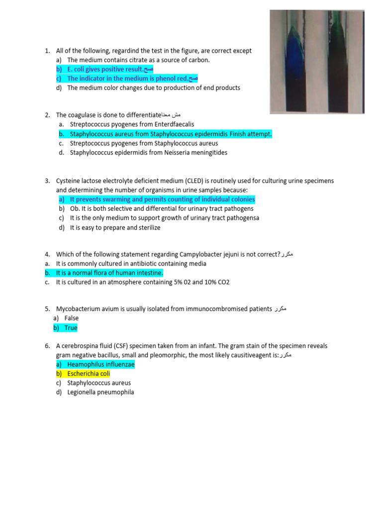 Microbiology Test Questions and Answers | PDF | Bacteria | Gram ...