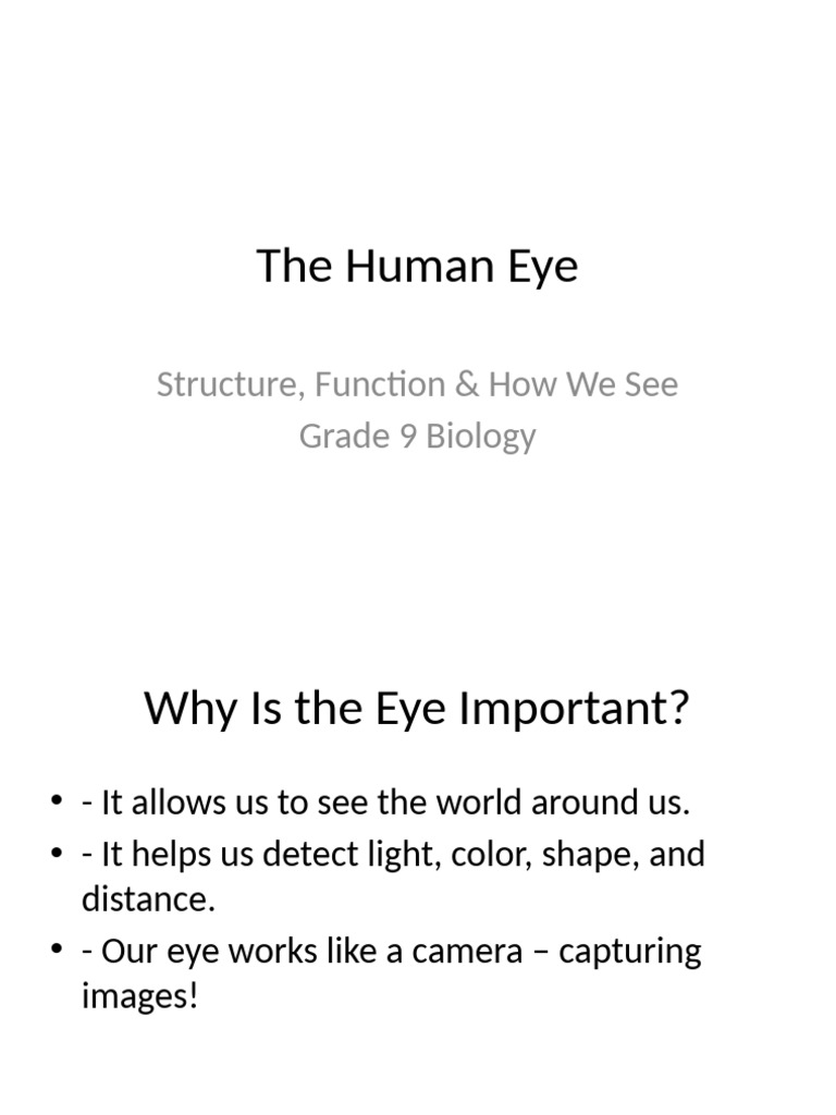 Grade 9 Eye Presentation | PDF