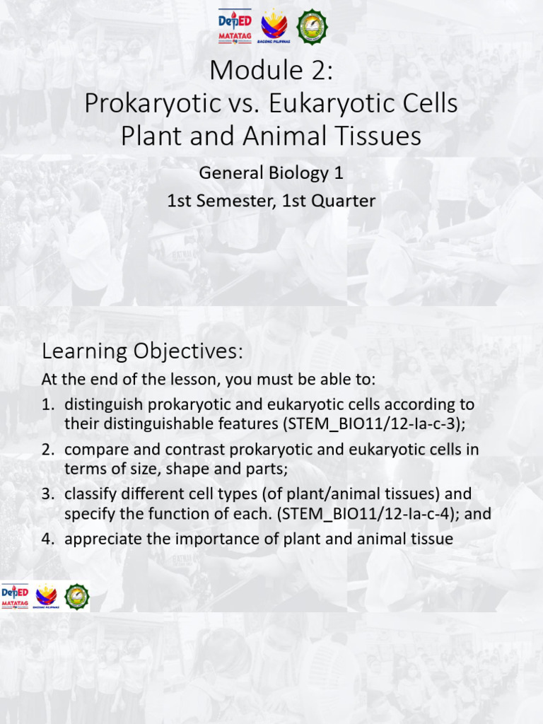 Module 2 Cell Types Plant and Animal Tissues 1 | PDF | Tissue (Biology ...