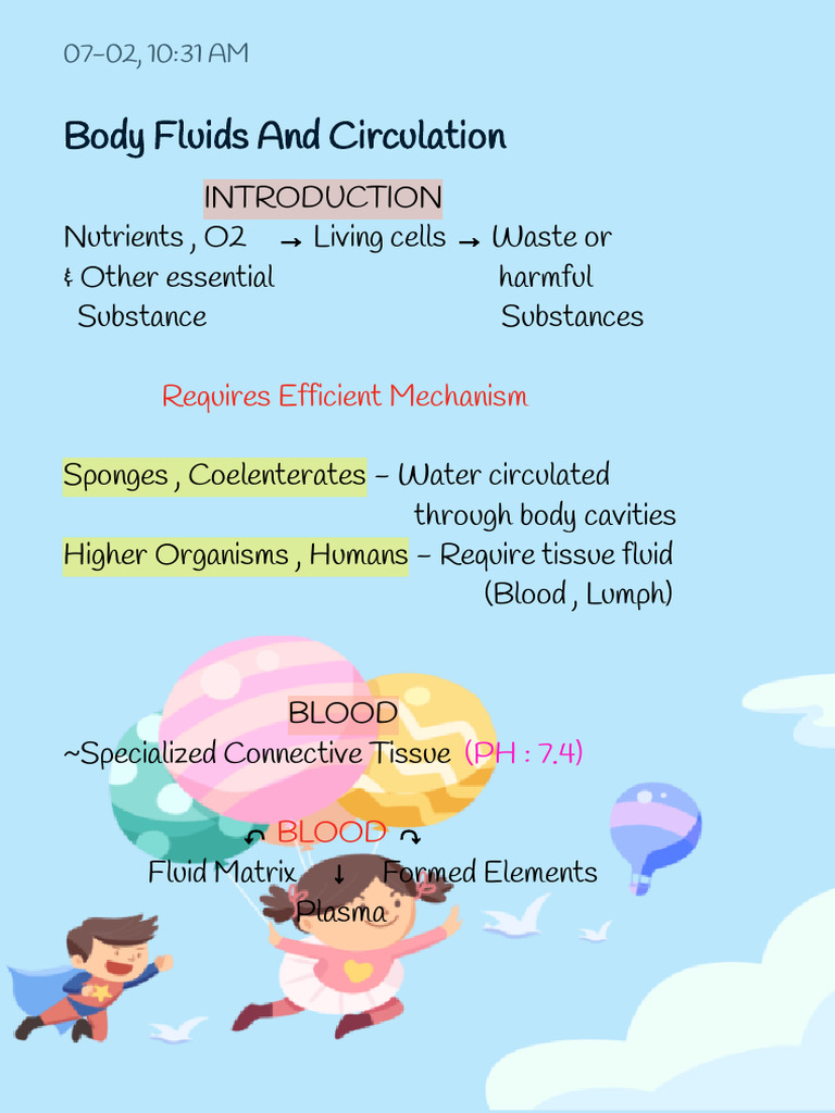Body Fluids & Circulation NOTES | PDF | Heart | Atrium (Heart)