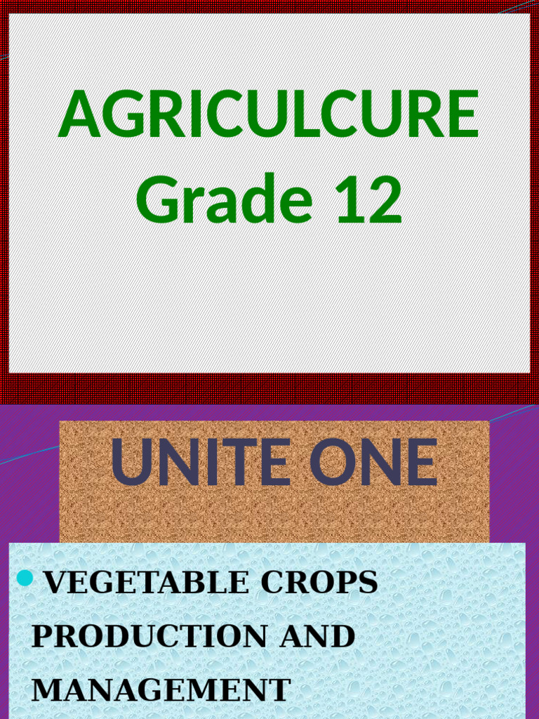 Grade 12 Vegetable Crop Management | PDF | Vegetables | Soil