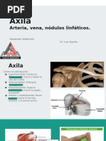 Región Axilar Resumen Prrre | PDF | Tórax | Anatomía humana