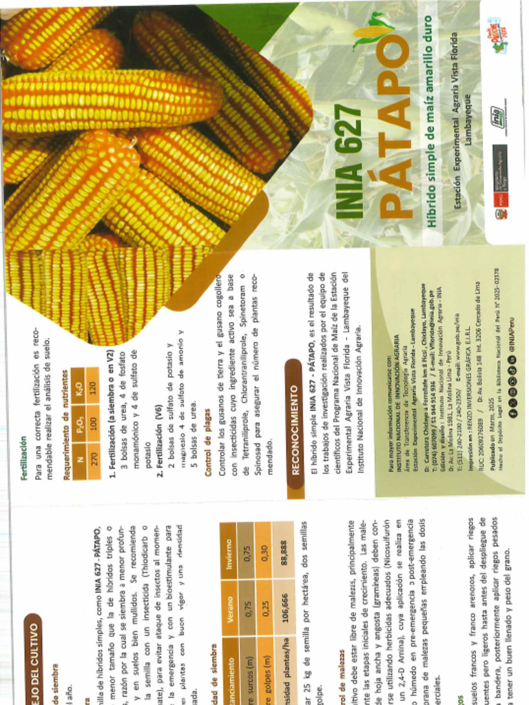 Modelo de Tripticos Impresion 7 | PDF