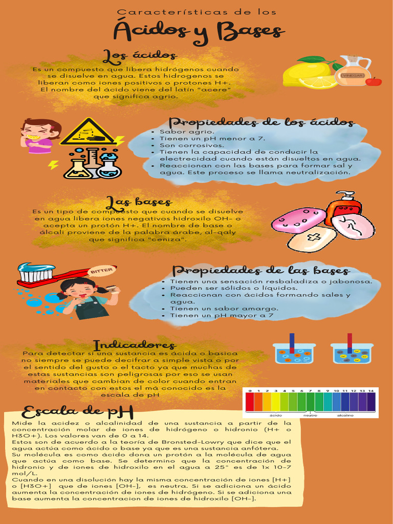 Infografía Sobre Los Ácidos y Bases | PDF | Ácido | Ph