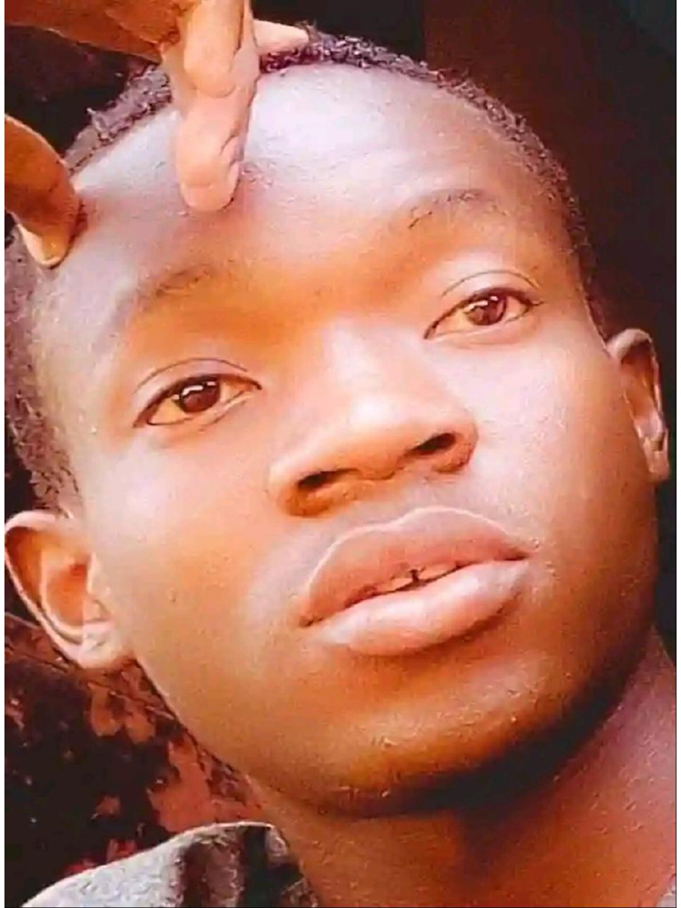 Musa Photos PDF | PDF