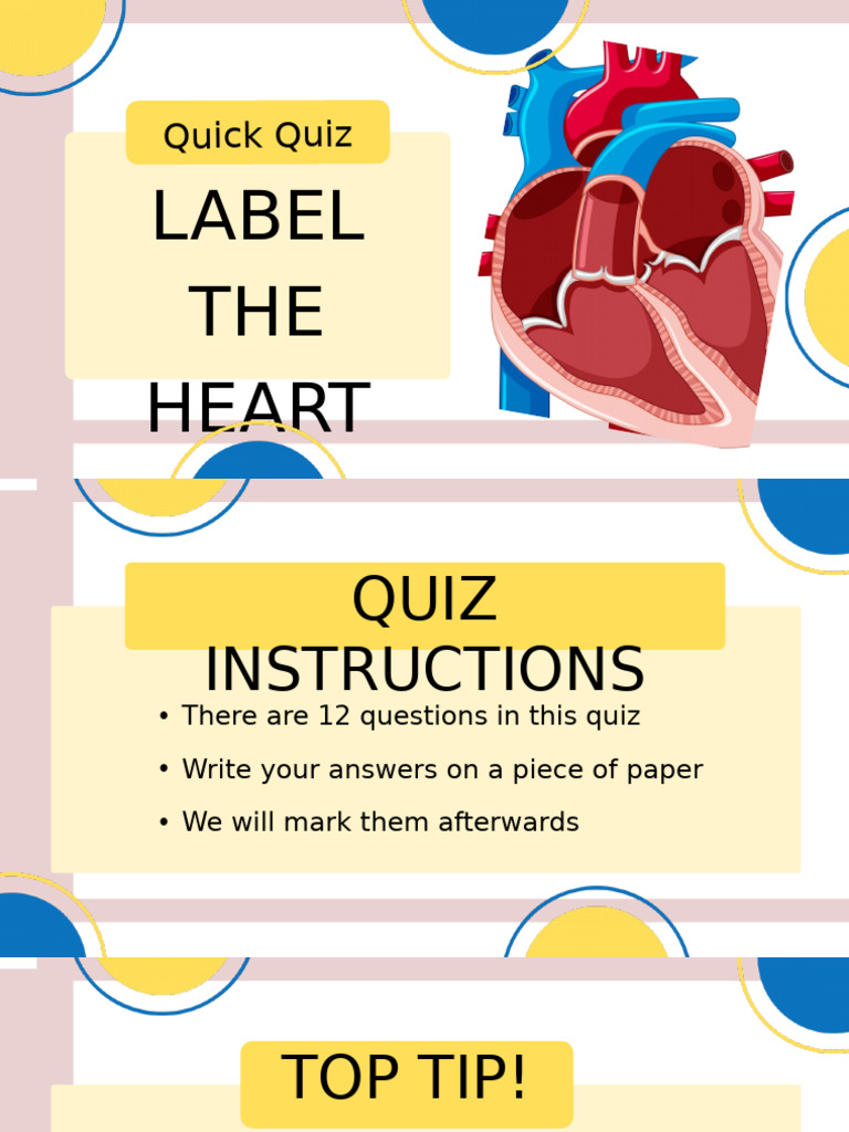 Parts of The Heart Anatomy Quiz Presentation in A Colorful Bold Style | PDF