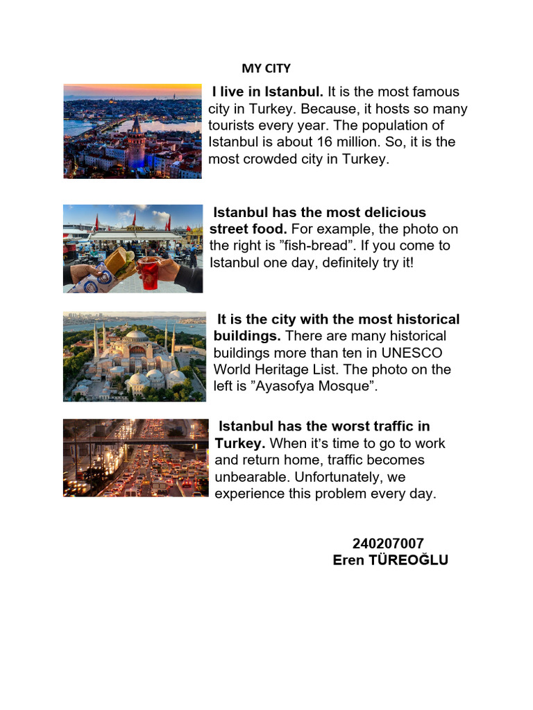 My City | PDF