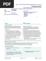 P87 Form Guidance Notes | PDF | Expense | Taxes