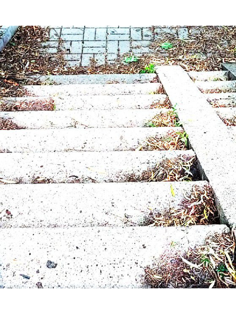 OneRead 20250702 0227 | PDF