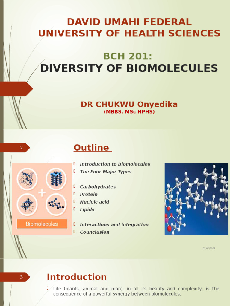 Diversity of Biomolecules Explained | PDF | Carbohydrates | Nucleotides