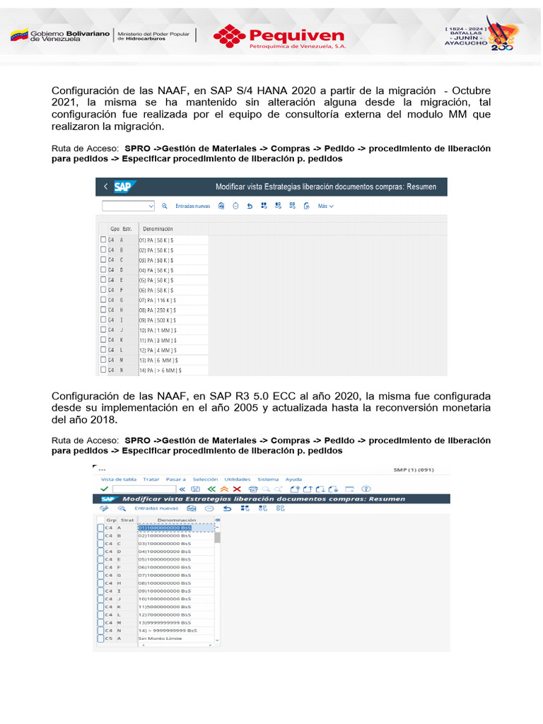 Configuación de Las NAAF en SAP Pre y Post Migracion - 025743 | PDF