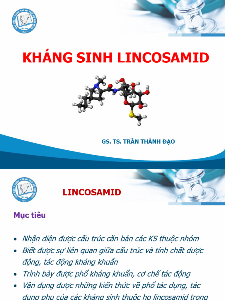 LINCOSAMID Elearning | PDF