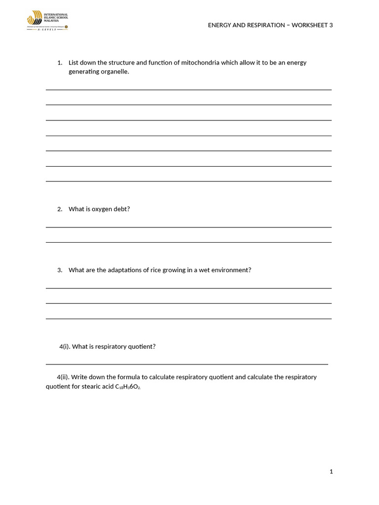Worksheet 3 - Energy and Respiration | PDF | Respiration | Physiology