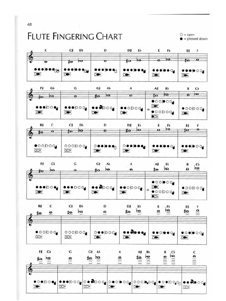 Flute Fingering Chart | PDF