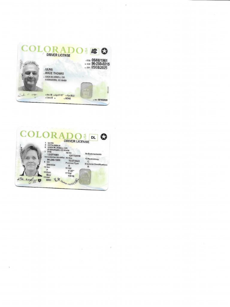 Drivers License | PDF