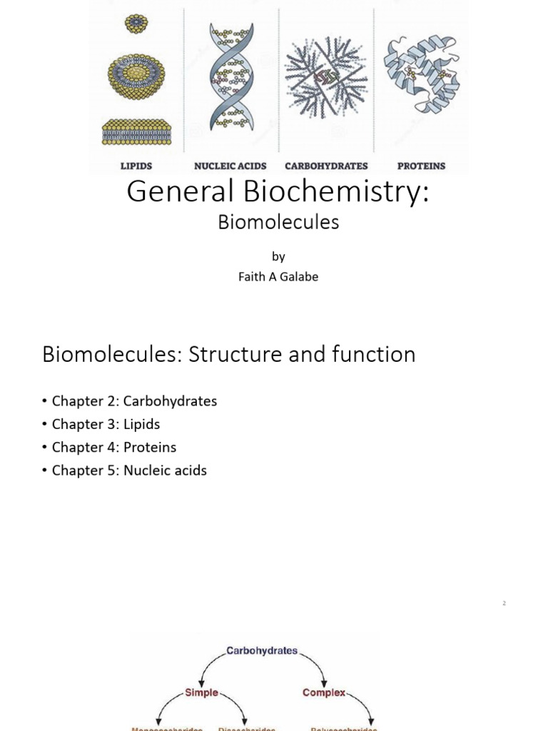 2-2A. General Biochemistry - Biomolecules - Copie | PDF | Carbohydrates ...