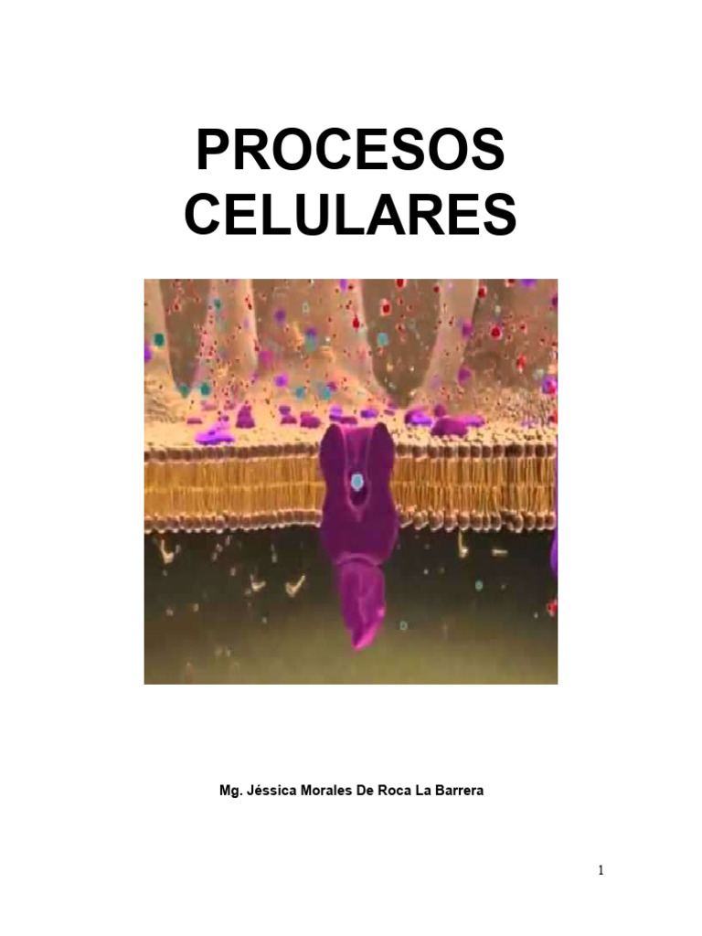 FOLLETO 3 A PROCESOS Cel y Transmision de La Inform. Heredditaria ...