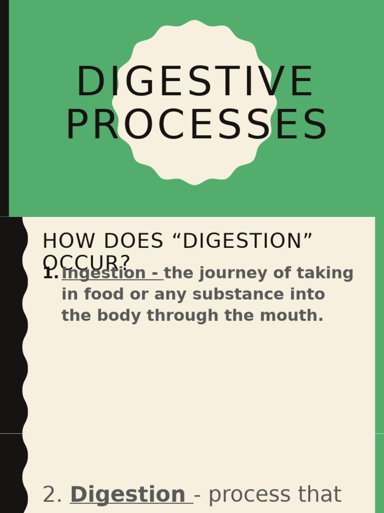 4 Steps of Human Digestion Process | PDF
